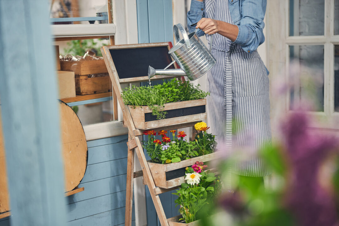 Horta em casa: passo a passo para cultivar alimentos nutritivos